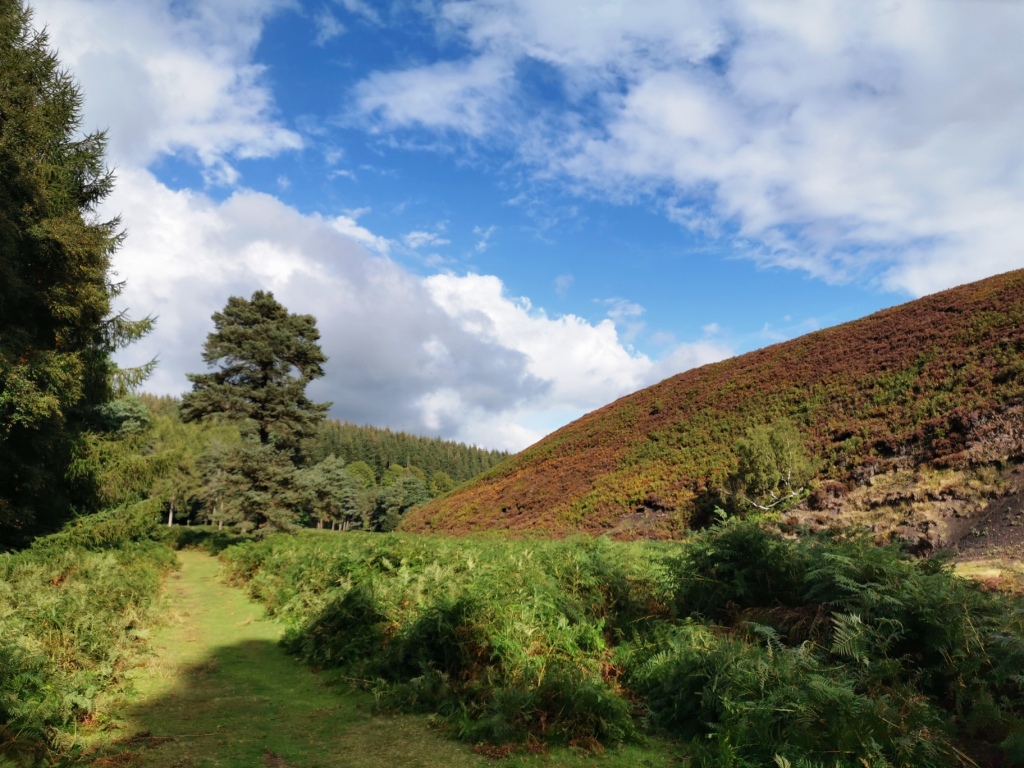 Langsett Reservoir (South Yorkshire)To Outer Edge & Harden Moss - Half ...
