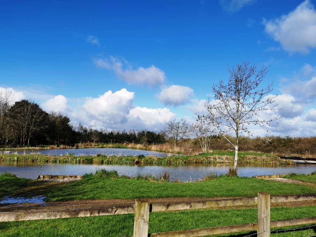 Wimboldsley And The Middlewich Branch Canal - Half-Day Walker