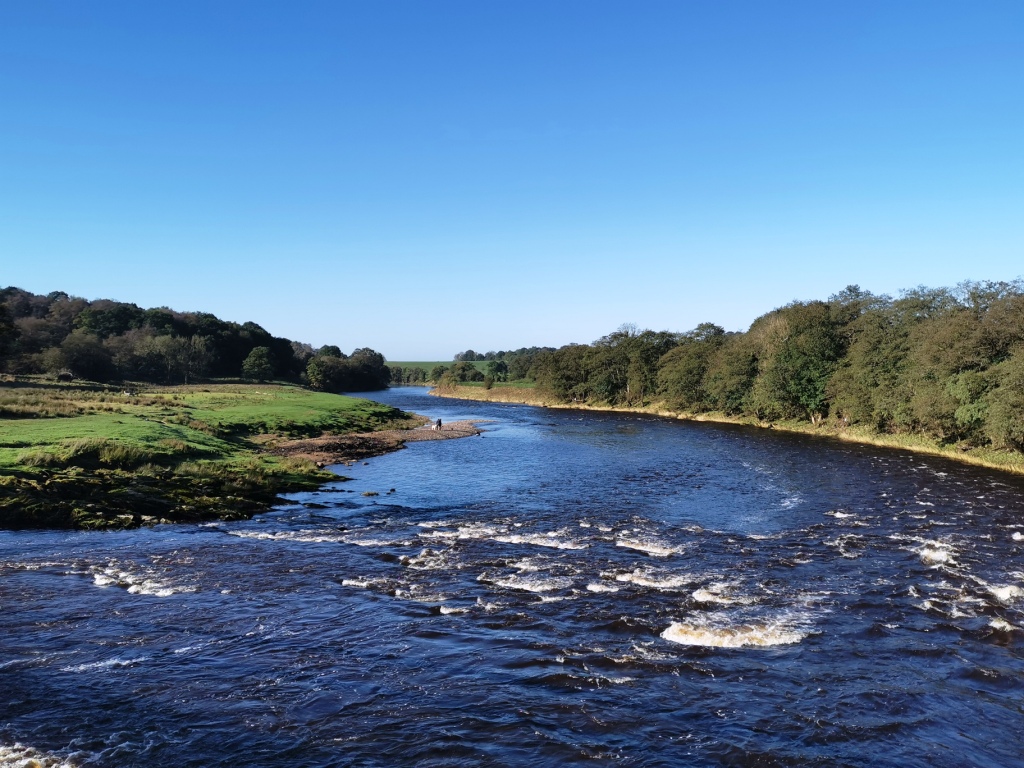 Marles Wood and the River Ribble, Near Clitheroe - Half-Day Walker