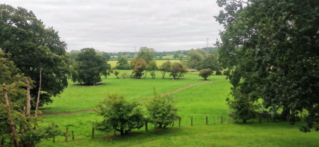 Prestbury And Butley Town Circular - Half-Day Walker
