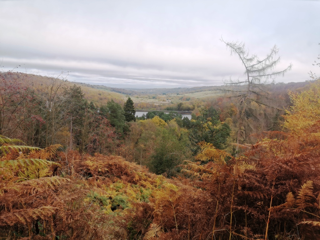 The Rivelin Valley, Near Sheffield - Half-Day Walker