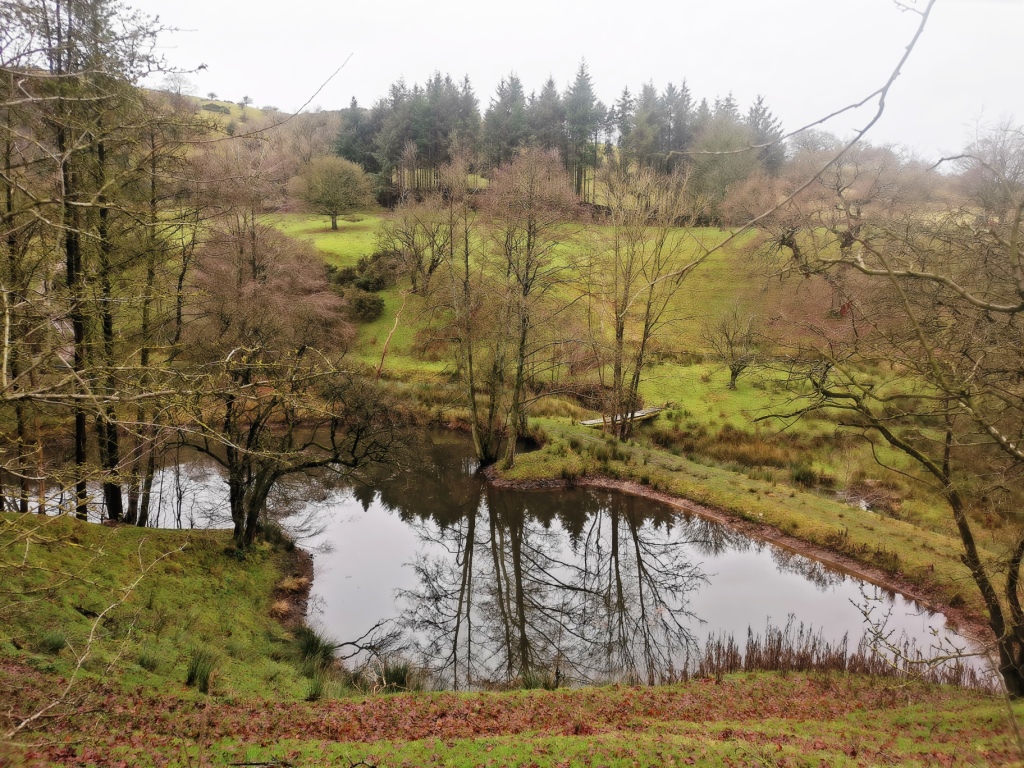 Sutton Mast And Rossen Clough - Half-Day Walker